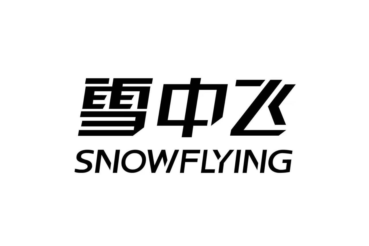 雪中飞(休闲服装品牌)_搜狗百科