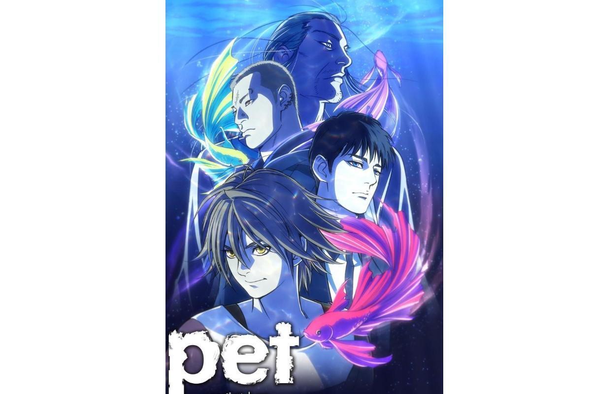 pet(GENO STUDIO改编电视动画)_搜狗百科