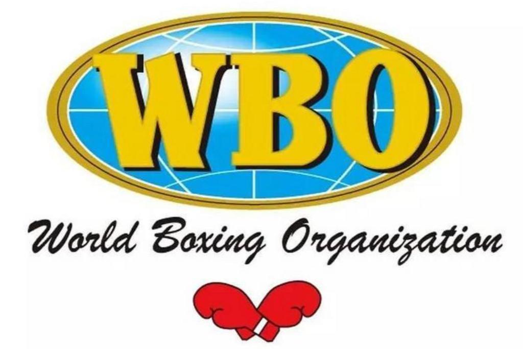 世界拳击组织(世界四大职业拳击组织之一)_搜狗百科