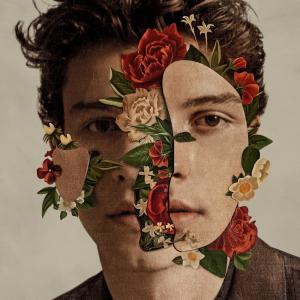 Shawn Mendes - 搜狗百科