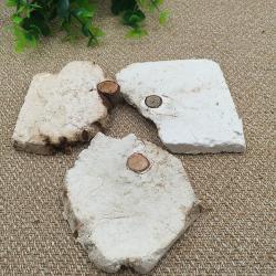 茯神 - 搜狗百科