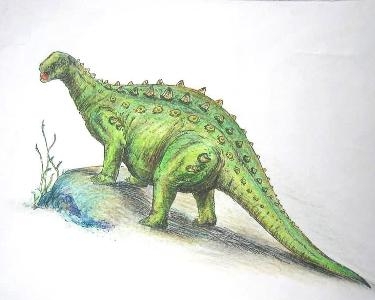 大地龙属 - 搜狗百科