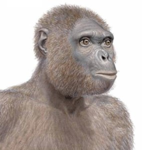 脉络猿 - 搜狗百科