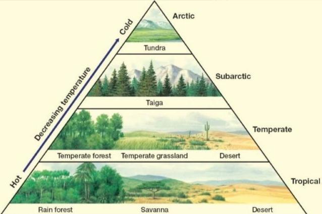 生物群系植被及生物种群搜狗百科