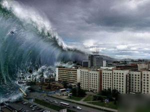 生态灾害 - 搜狗百科