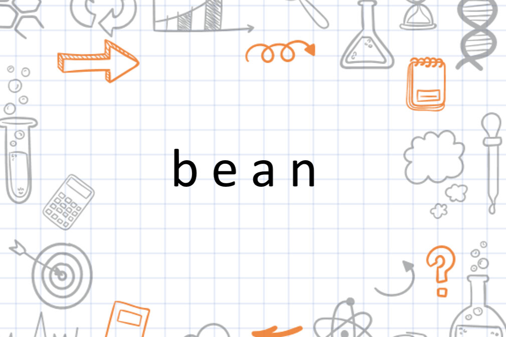 bean(描述Java的软件组件模型)_搜狗百科