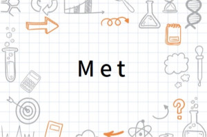 Met - 搜狗百科