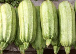 笋瓜 - 搜狗百科