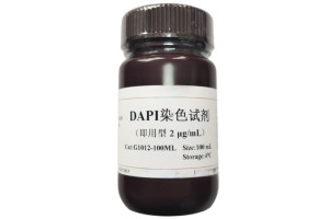 DAPI - 搜狗百科