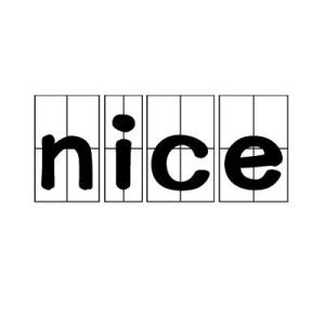 nice（英文单词） - 搜狗百科