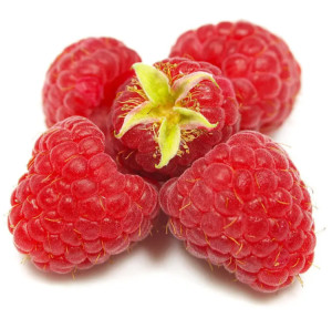 红树莓 - 搜狗百科