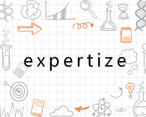 expertize - 搜狗百科