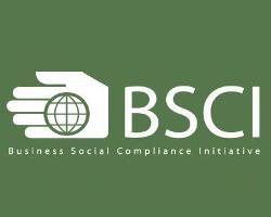 BSCI术语表 - 搜狗百科