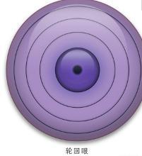 轮回眼 - 搜狗百科