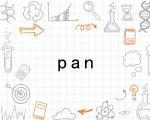 pan - 搜狗百科