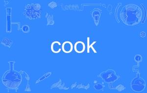 cook - 搜狗百科