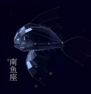 南鱼座 - 搜狗百科