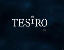 TESIRO通灵 - 搜狗百科