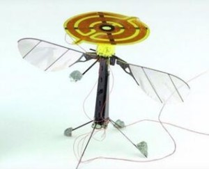 RoboBee - 搜狗百科