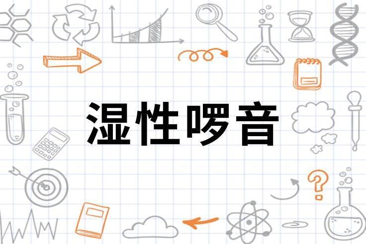 湿性啰音(呼吸性疾病)_搜狗百科