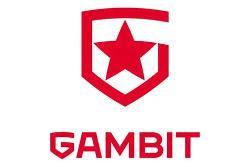 gambit - 搜狗百科