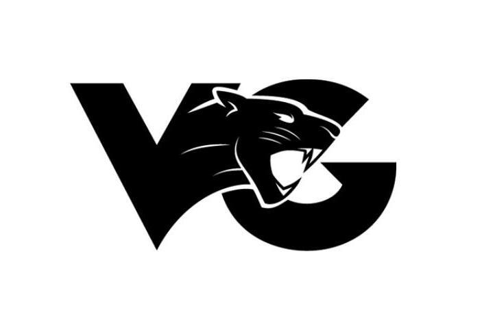 VG电子竞技俱乐部(中国电子竞技俱乐部)_搜狗百科