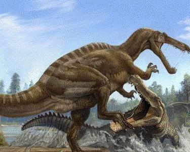 髂鳄龙 - 搜狗百科