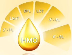 HMO - 搜狗百科