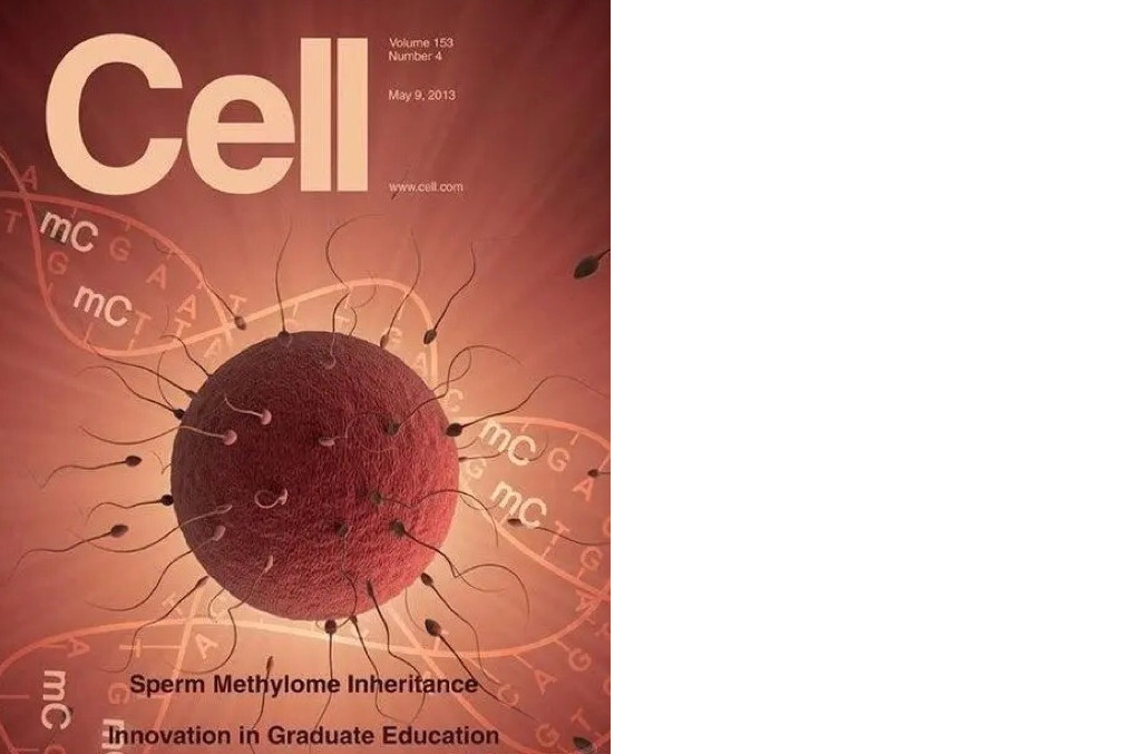 CELL(《细胞》期刊)_搜狗百科